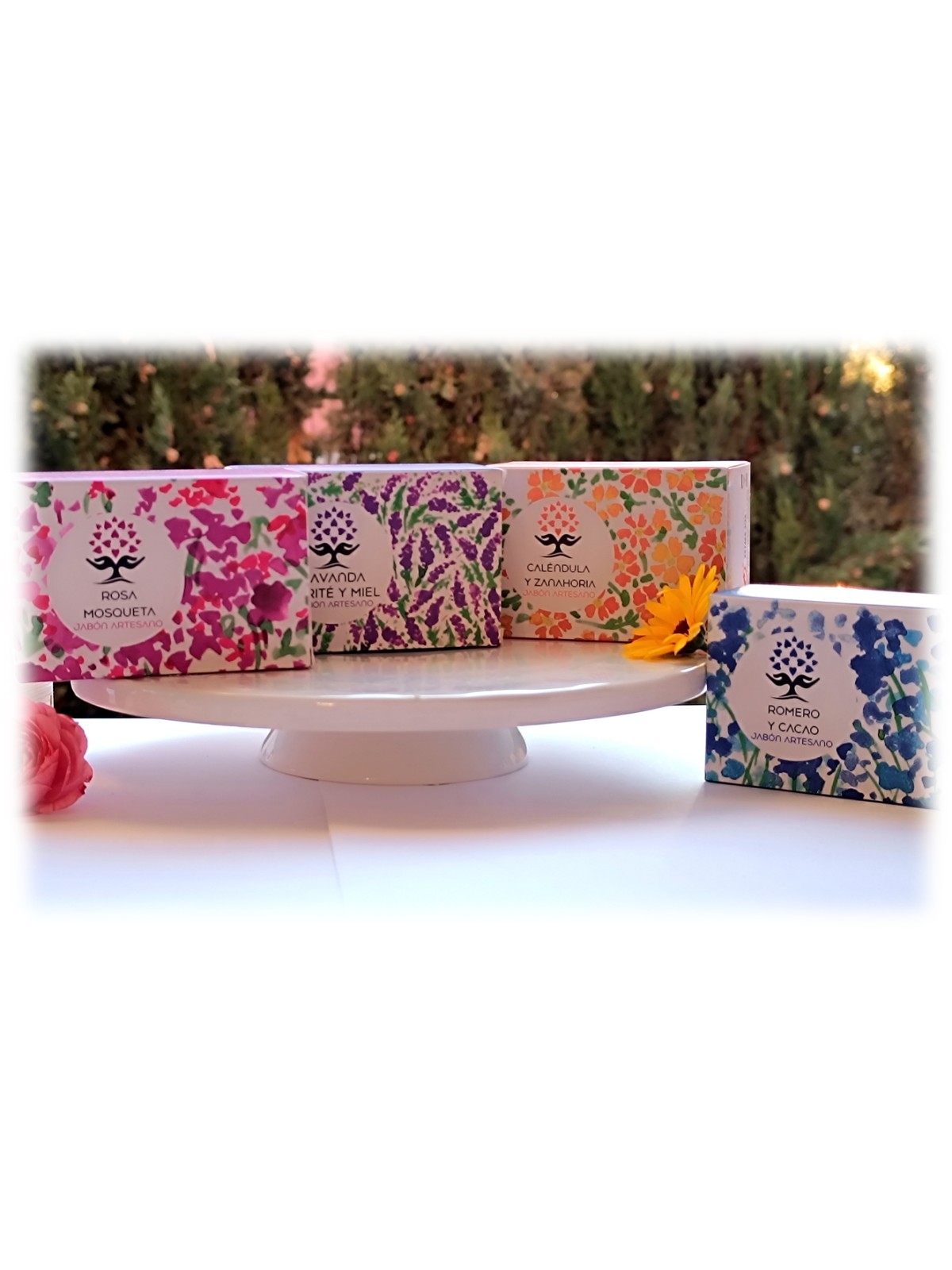 PACK JABONES COLECCIÓN
